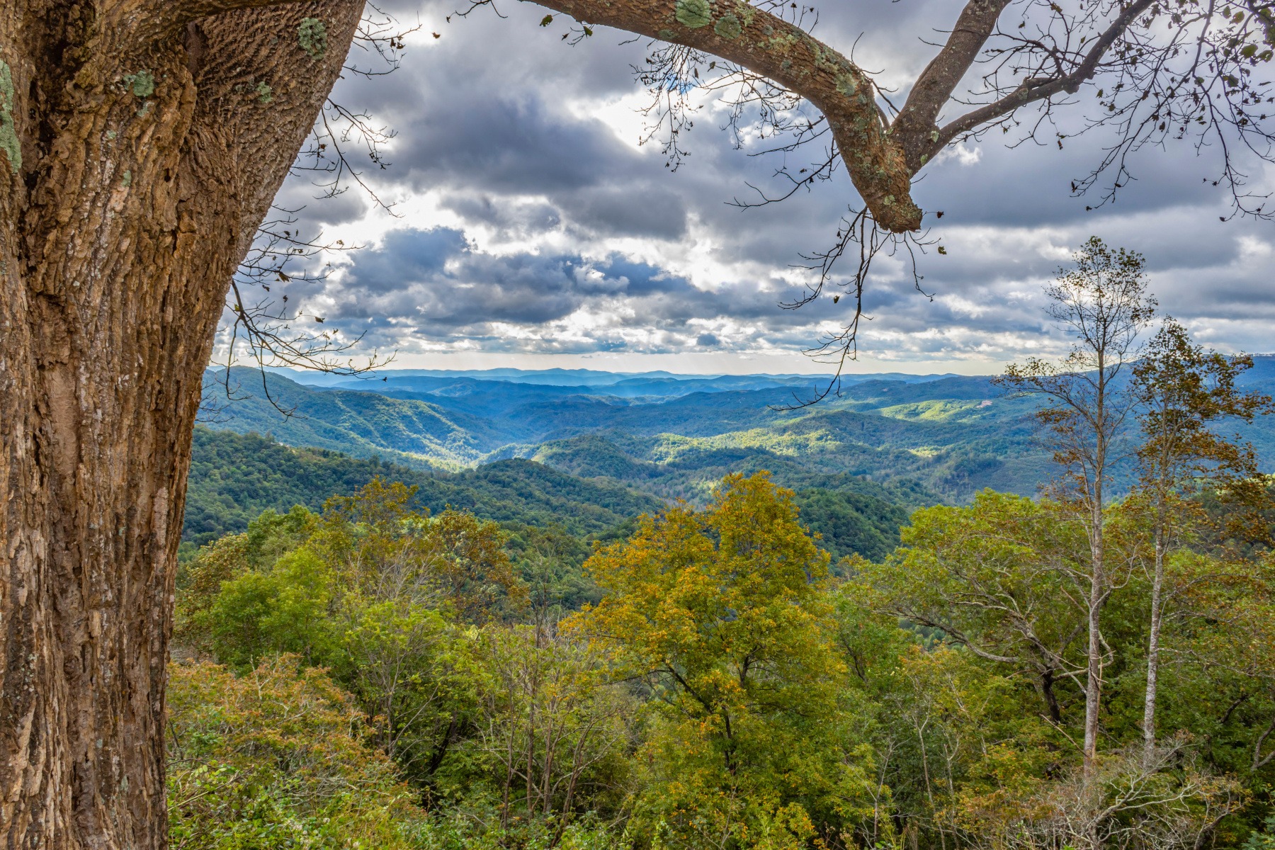 About – Garnet Ridge Preserve